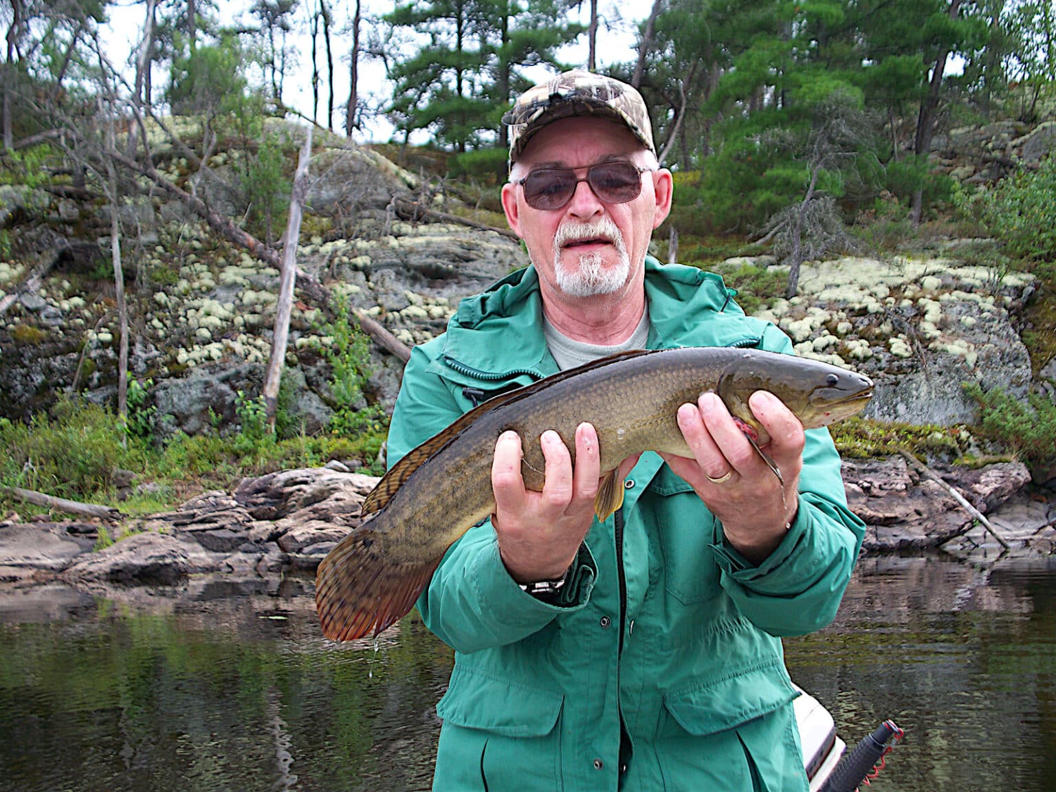 3 Important Ancient Fish of Ontario: Bowfin, Gar, and Sturgeon - Bear's ...